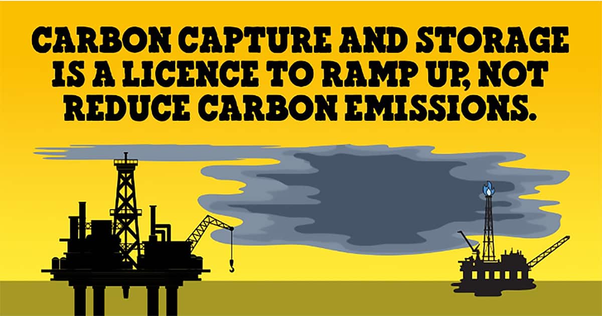 Drilling for fossil fuels isn’t a climate solution: Why we need trees ...